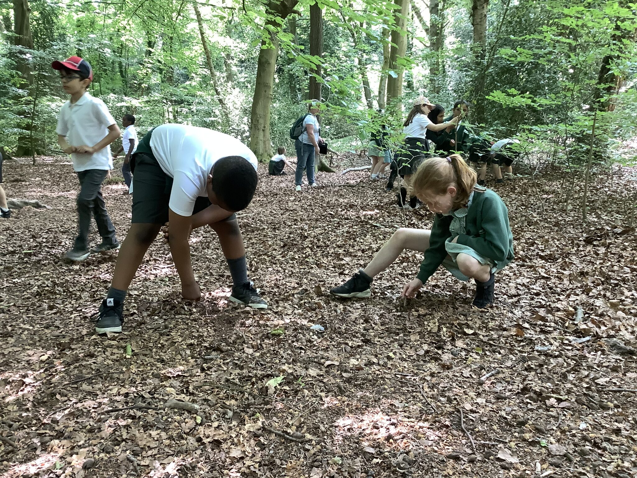 Curriculum Enrichment at Highfield